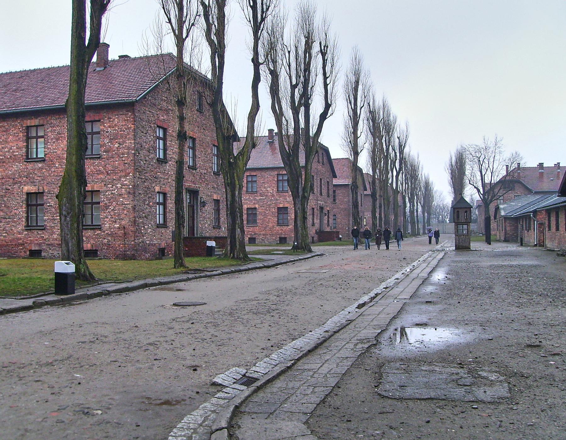 Frankfurt erinnert mit Gedenkstunde an NS-Opfer | Berliner Sonntagsblatt